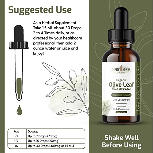 benefits of olive leaf oil
