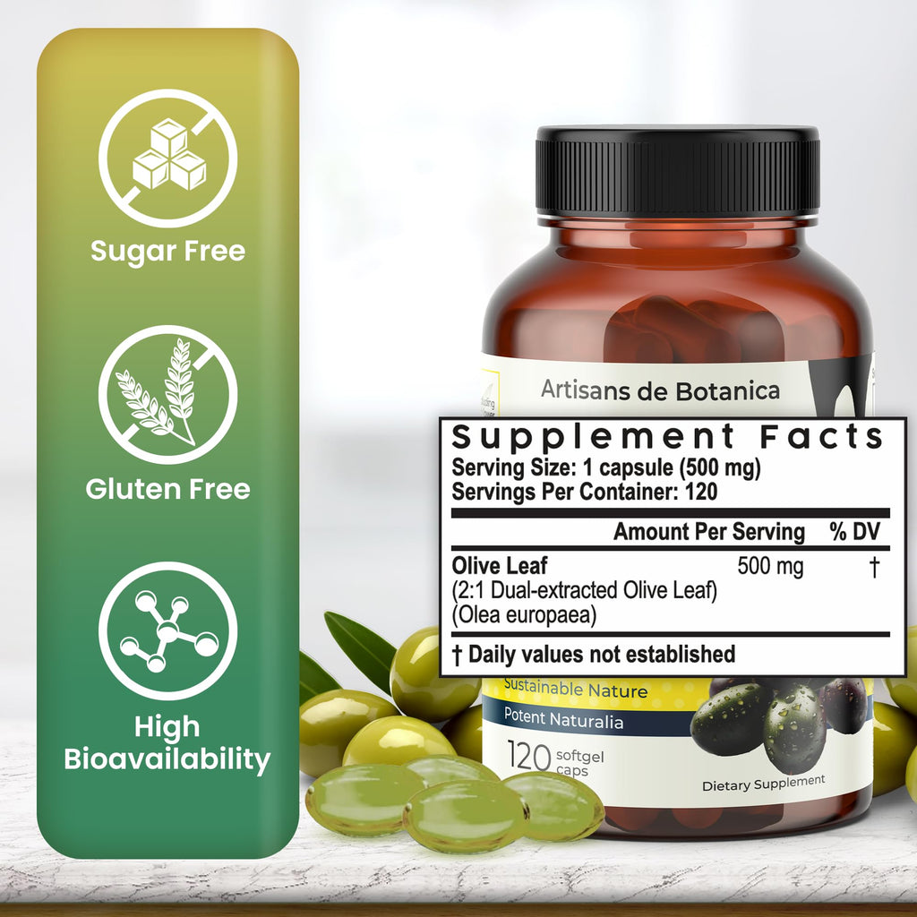 benefits of olive leaf supplements