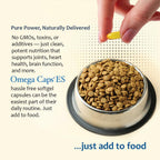 benefits of omega 3 for dogs