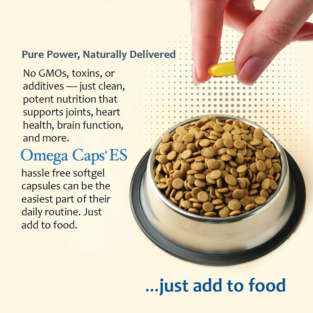 benefits of omega 3 for dogs
