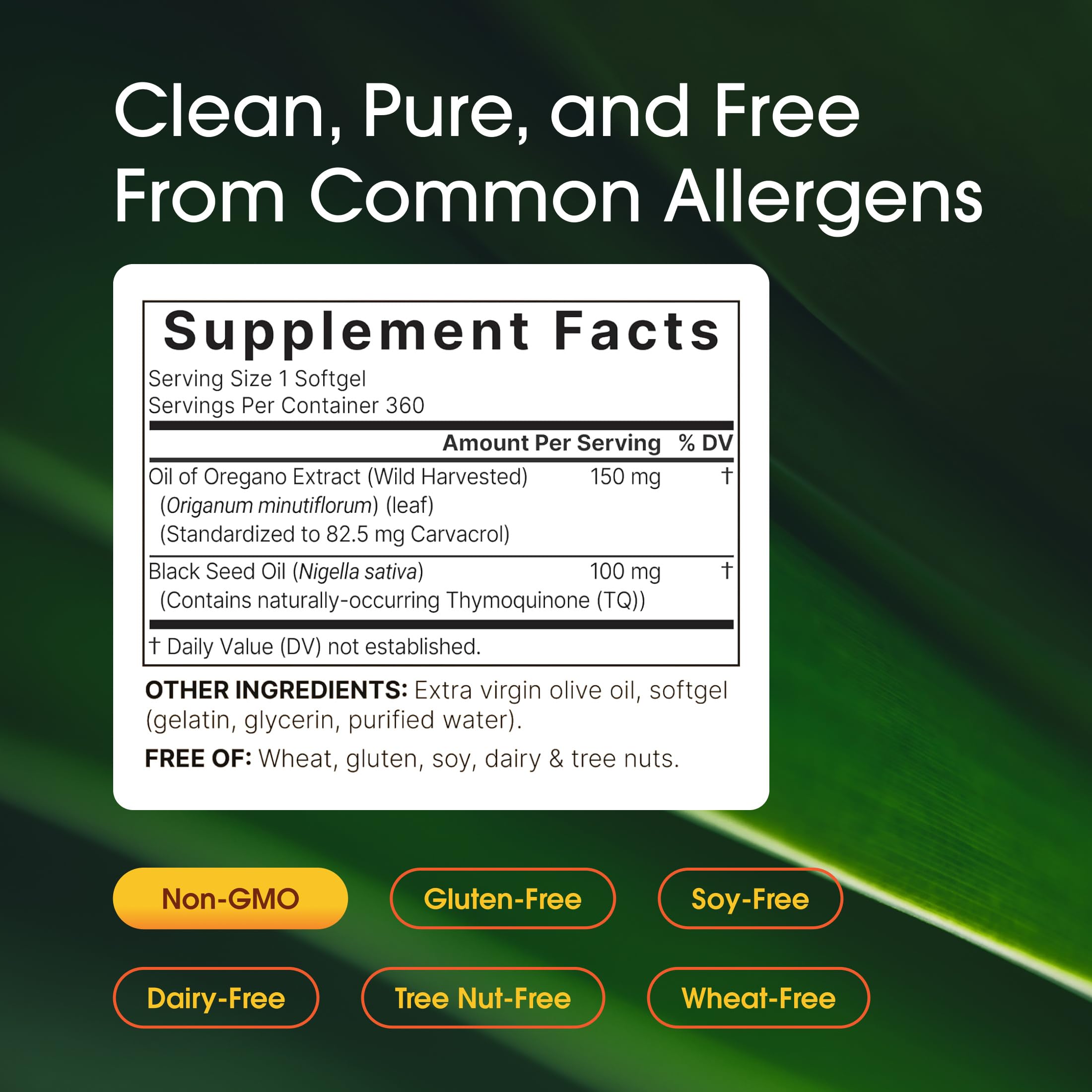 benefits of oregano and black seed oil