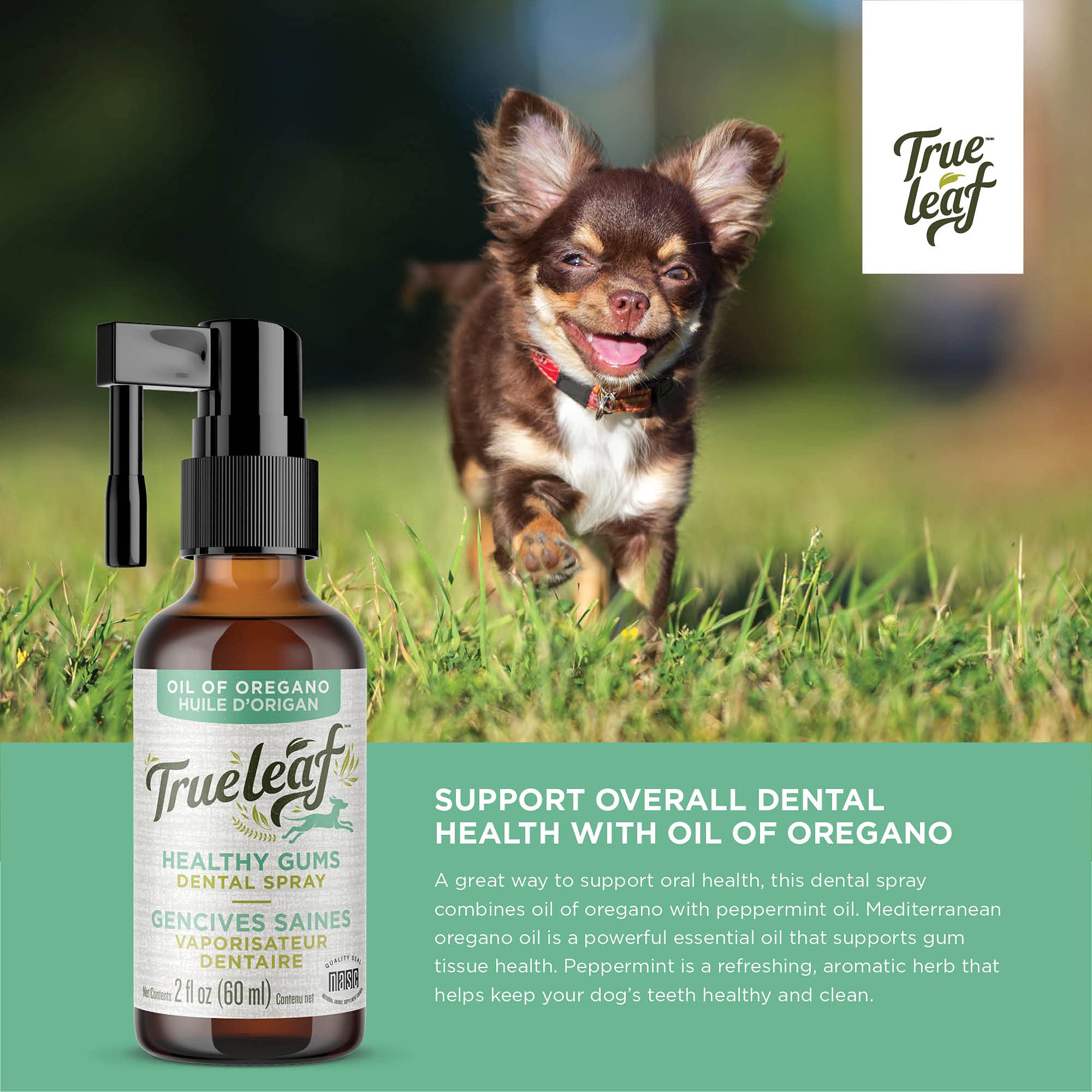 benefits of oregano oil for oral health