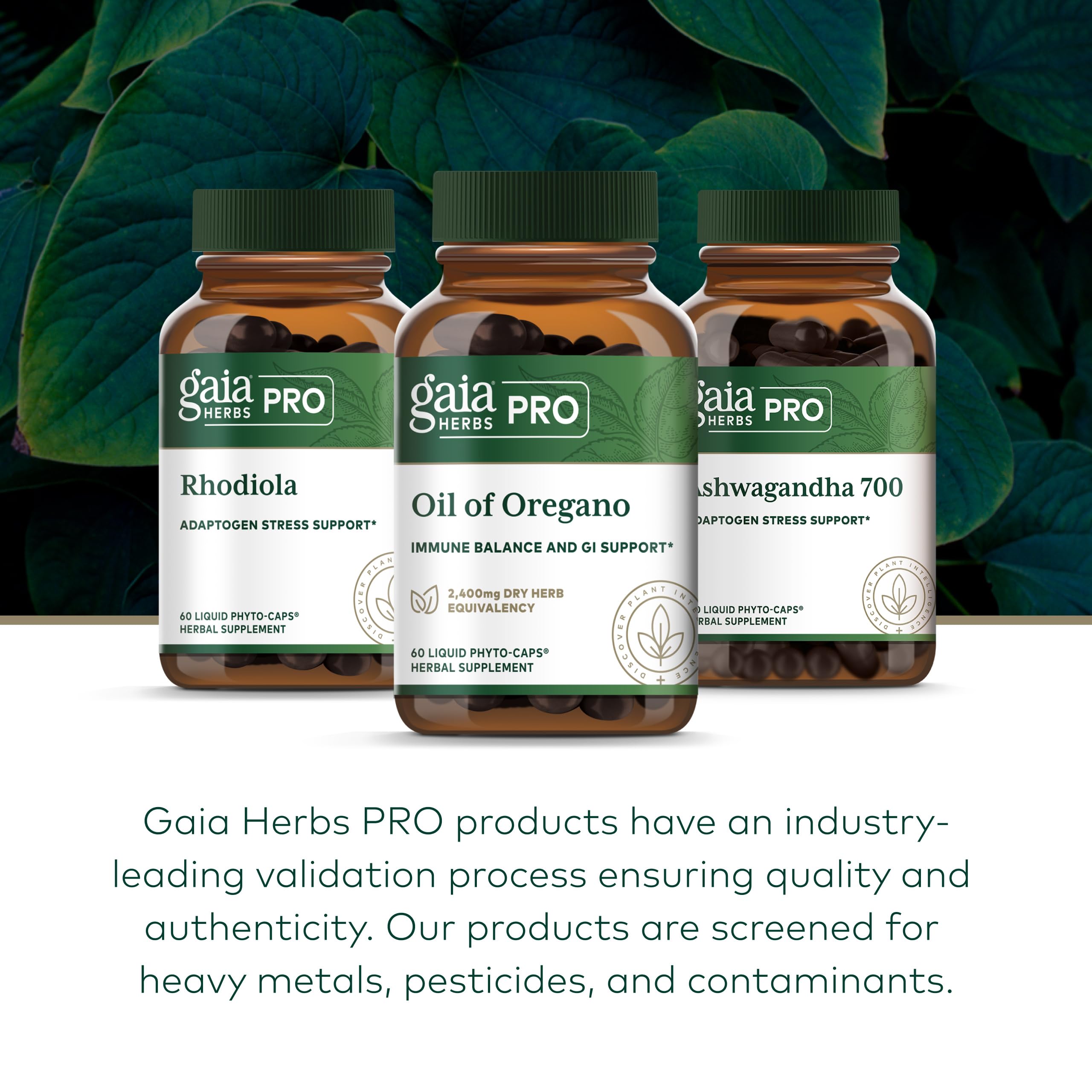 benefits of oregano oil for wellness