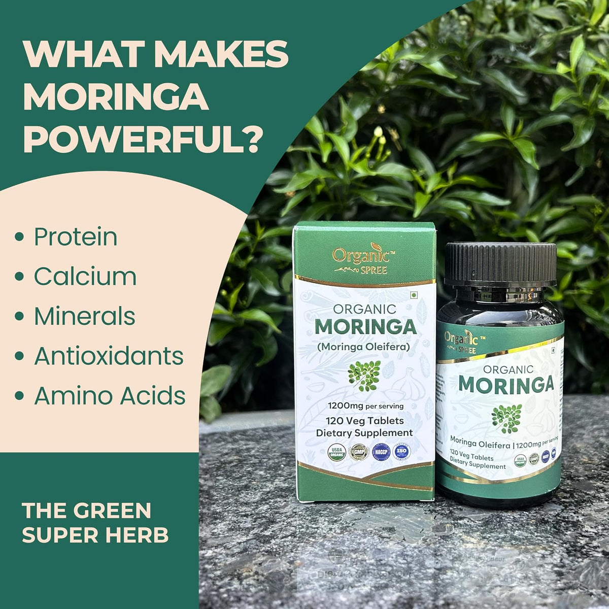 benefits of organic moringa capsules