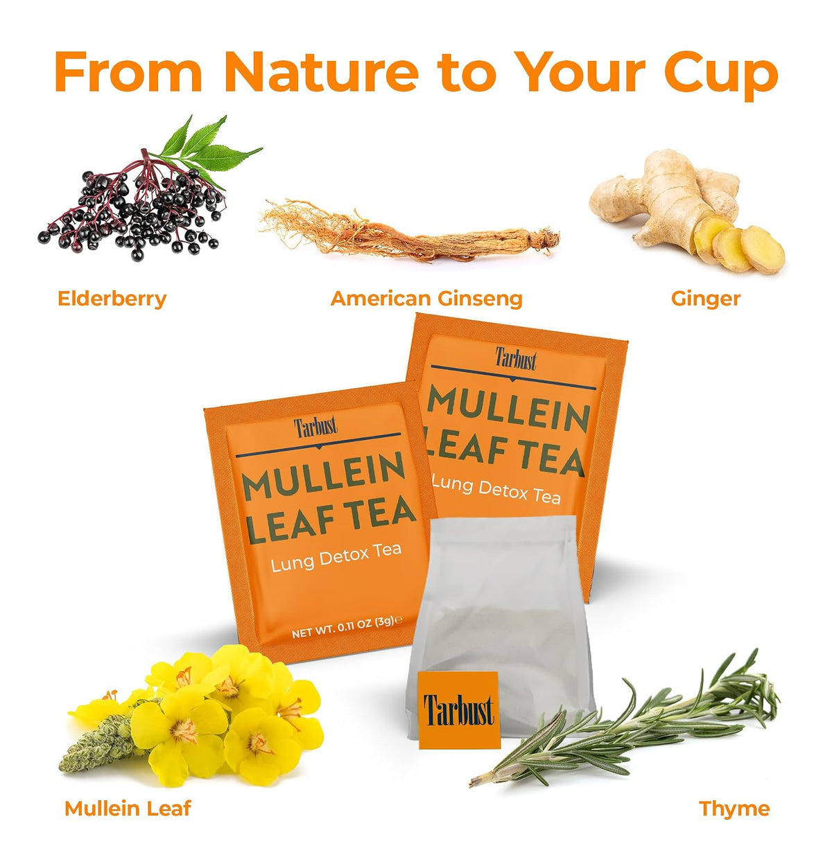 benefits of organic mullein tea