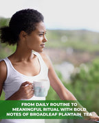 benefits of plantain leaf tea