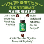 benefits of prebiotic fiber