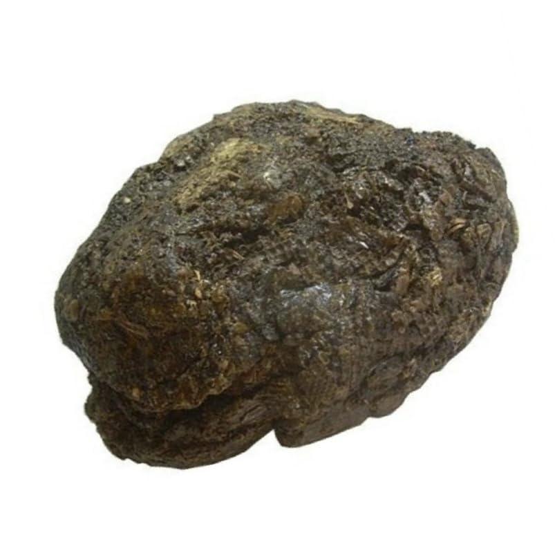 benefits of raw propolis for wellness