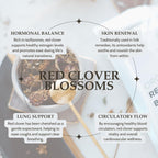 benefits of red clover tea