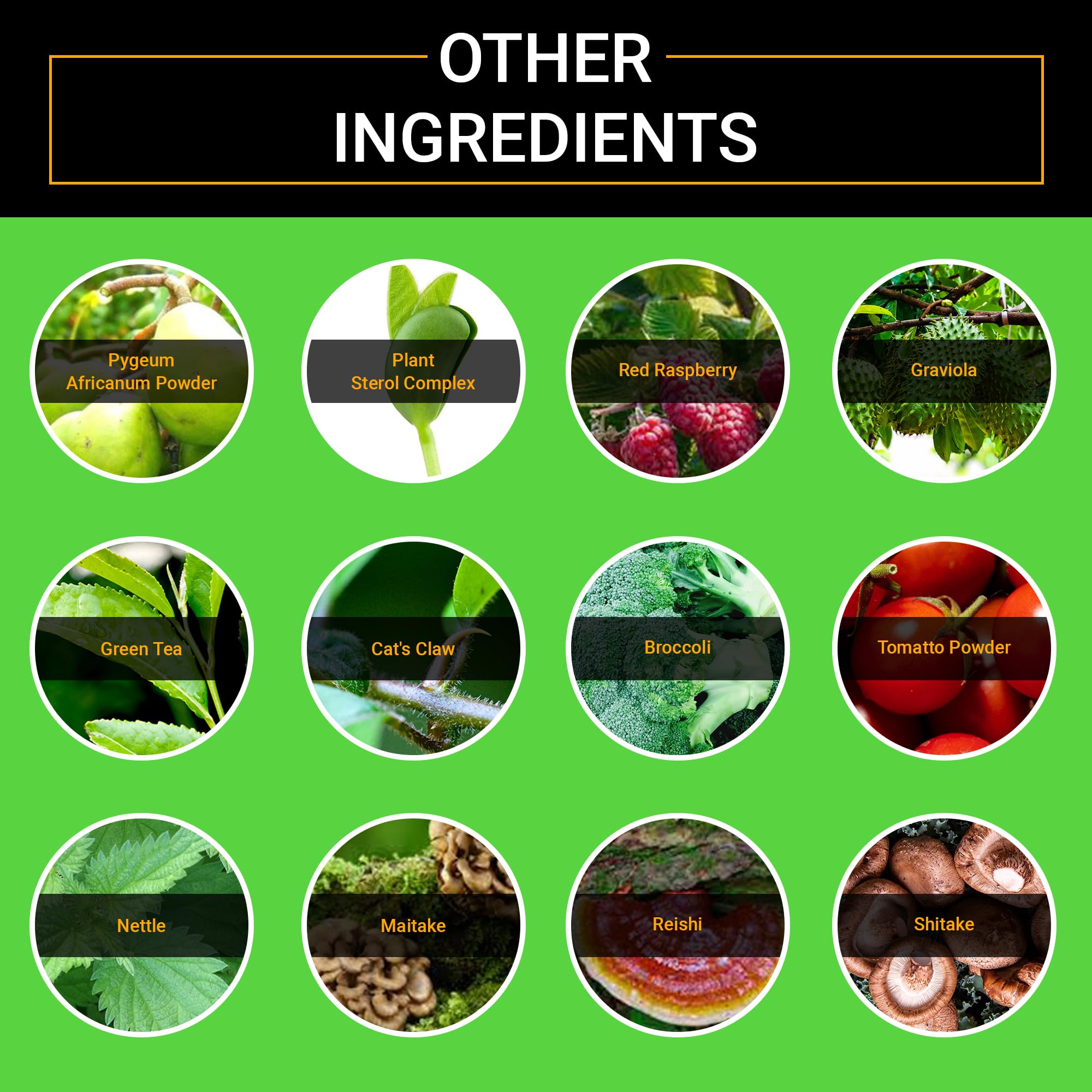 benefits of saw palmetto extract