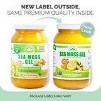 benefits of sea moss gel for health