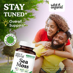 benefits of sea moss supplements