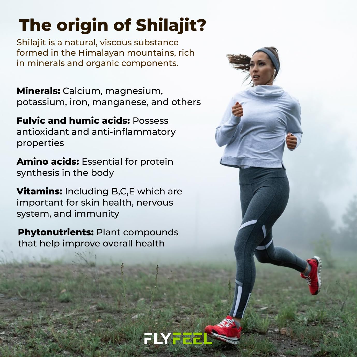 benefits of shilajit for health