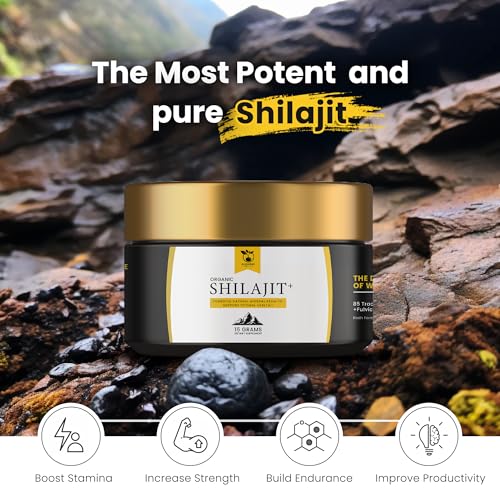benefits of shilajit for men
