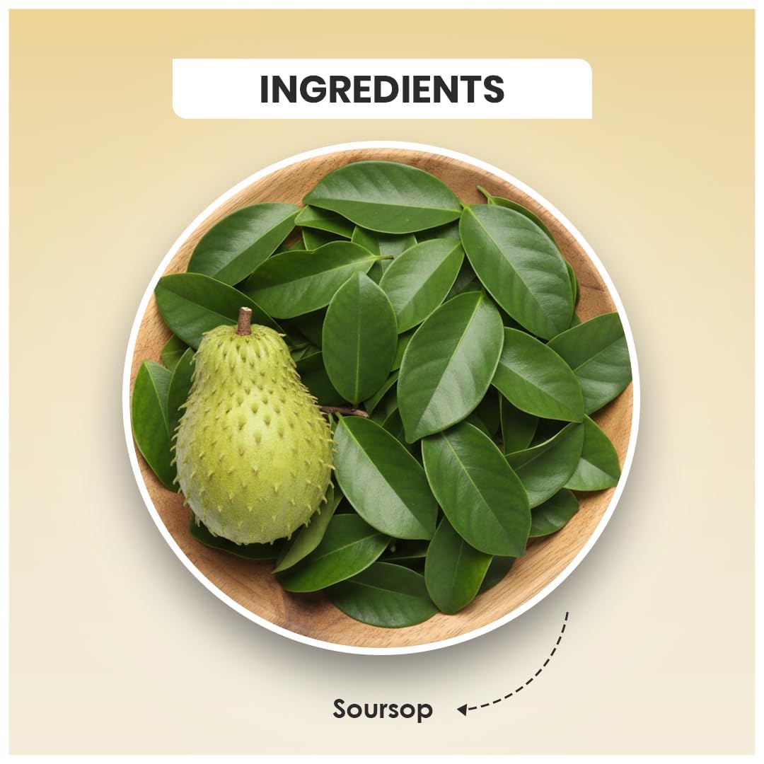 benefits of soursop herbal tea