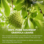 benefits of soursop leaf tea