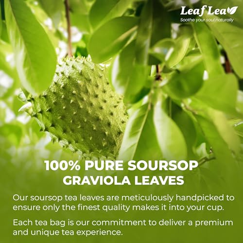 benefits of soursop leaf tea