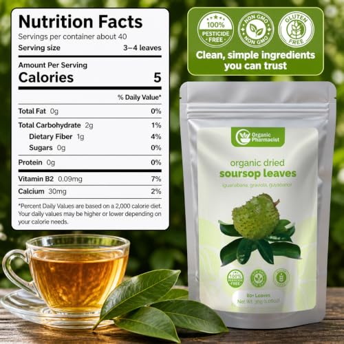 benefits of soursop leaves infusion