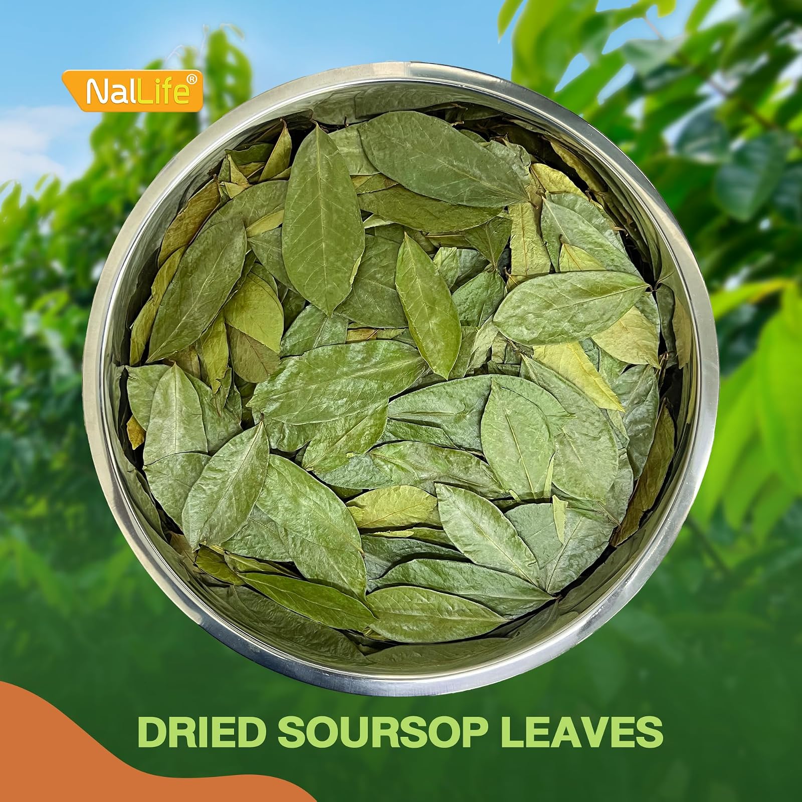benefits of soursop leaves tea