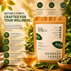 benefits of soursop leaves tea