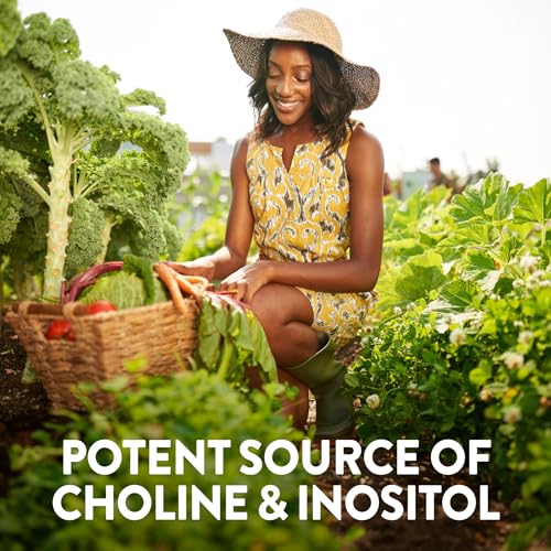 benefits of soy lecithin for health