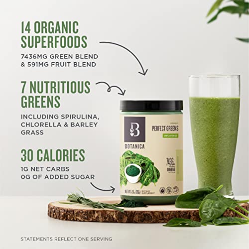 benefits of spirulina for wellness
