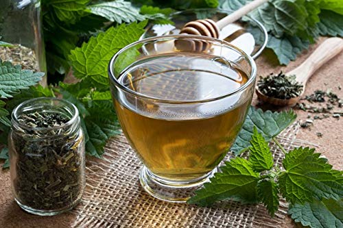 benefits of stinging nettle for health