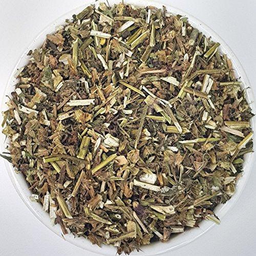 benefits of stinging nettle tea