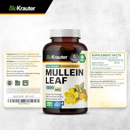 benefits of taking mullein capsules