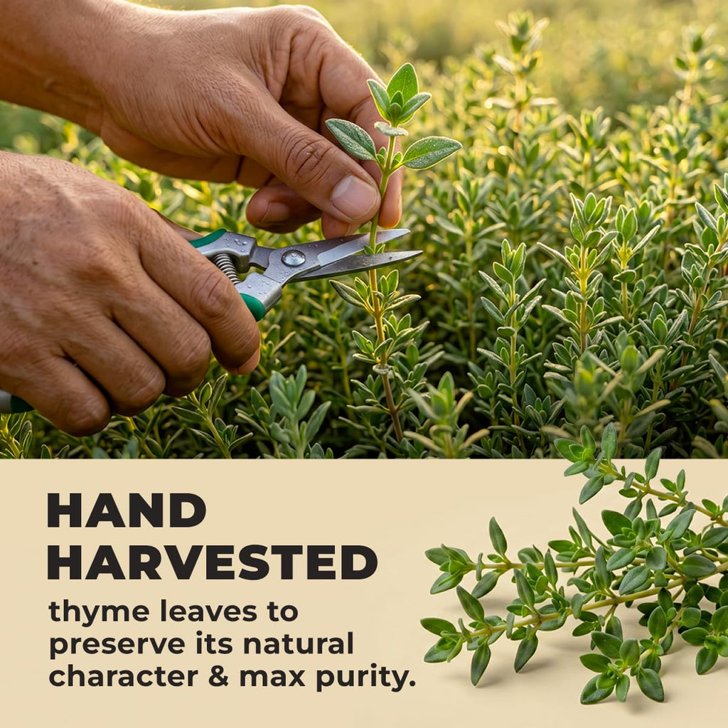 benefits of thyme leaf tea