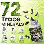 benefits of trace minerals for health
