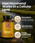 benefits of trace minerals for health