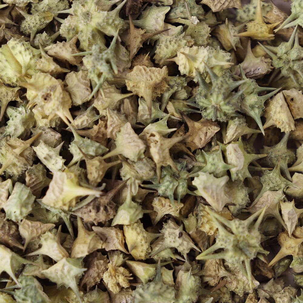benefits of tribulus for men