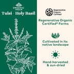 benefits of tulsi holy basil