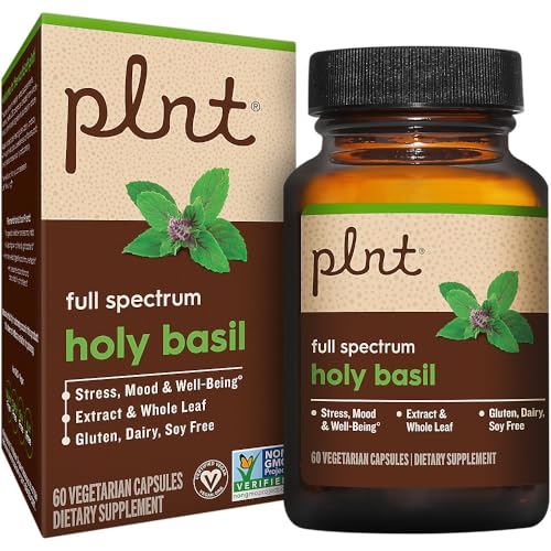 benefits of tulsi holy basil