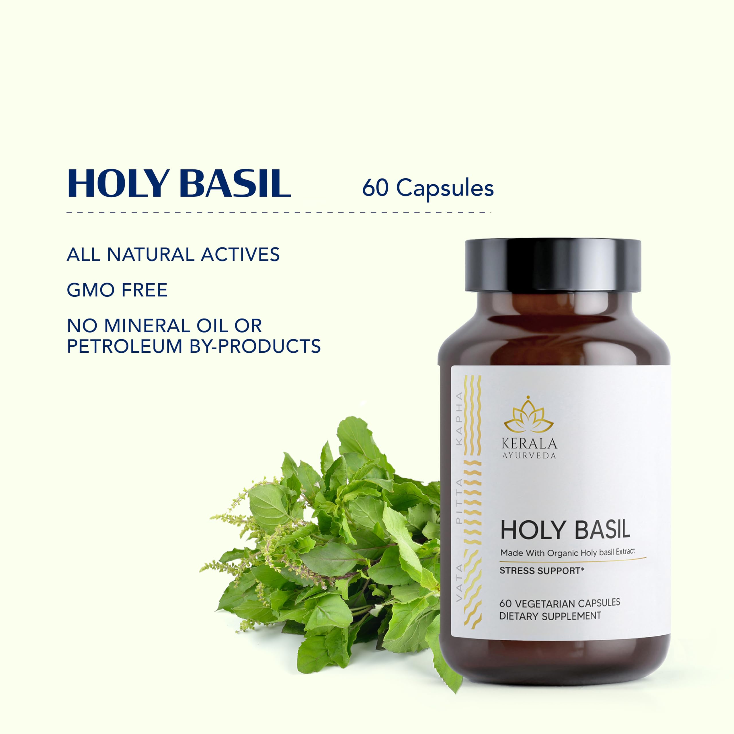 benefits of tulsi holy basil