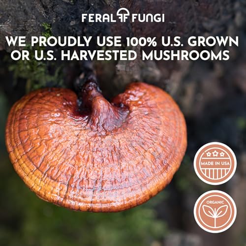 benefits of using reishi mushrooms