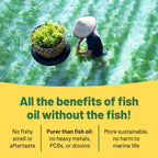 benefits of vegan omega 3