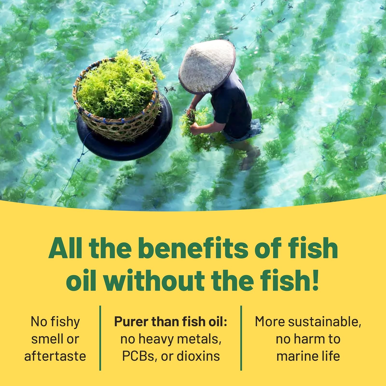 benefits of vegan omega 3