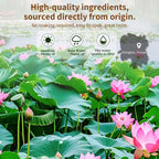 benefits of white lotus seeds