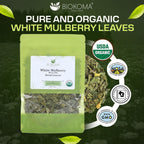 benefits of white mulberry leaf tea
