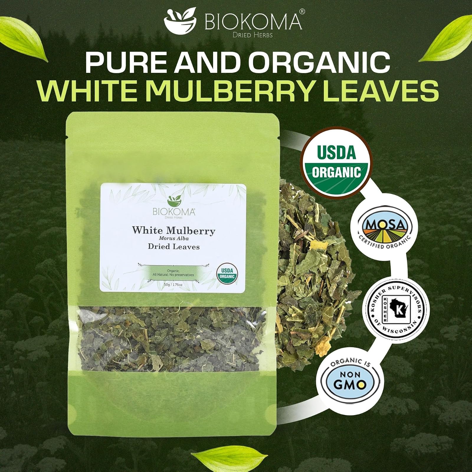 benefits of white mulberry leaf tea
