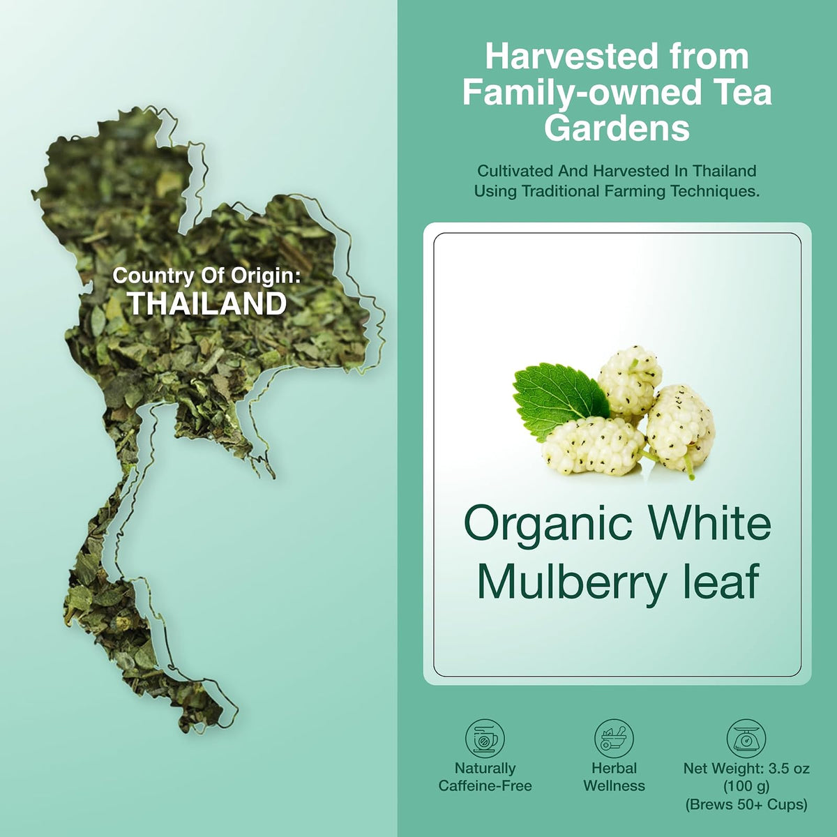 benefits of white mulberry leaves
