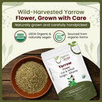 benefits of yarrow flower tea