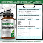 Benevolent chlorophyll for immune support
