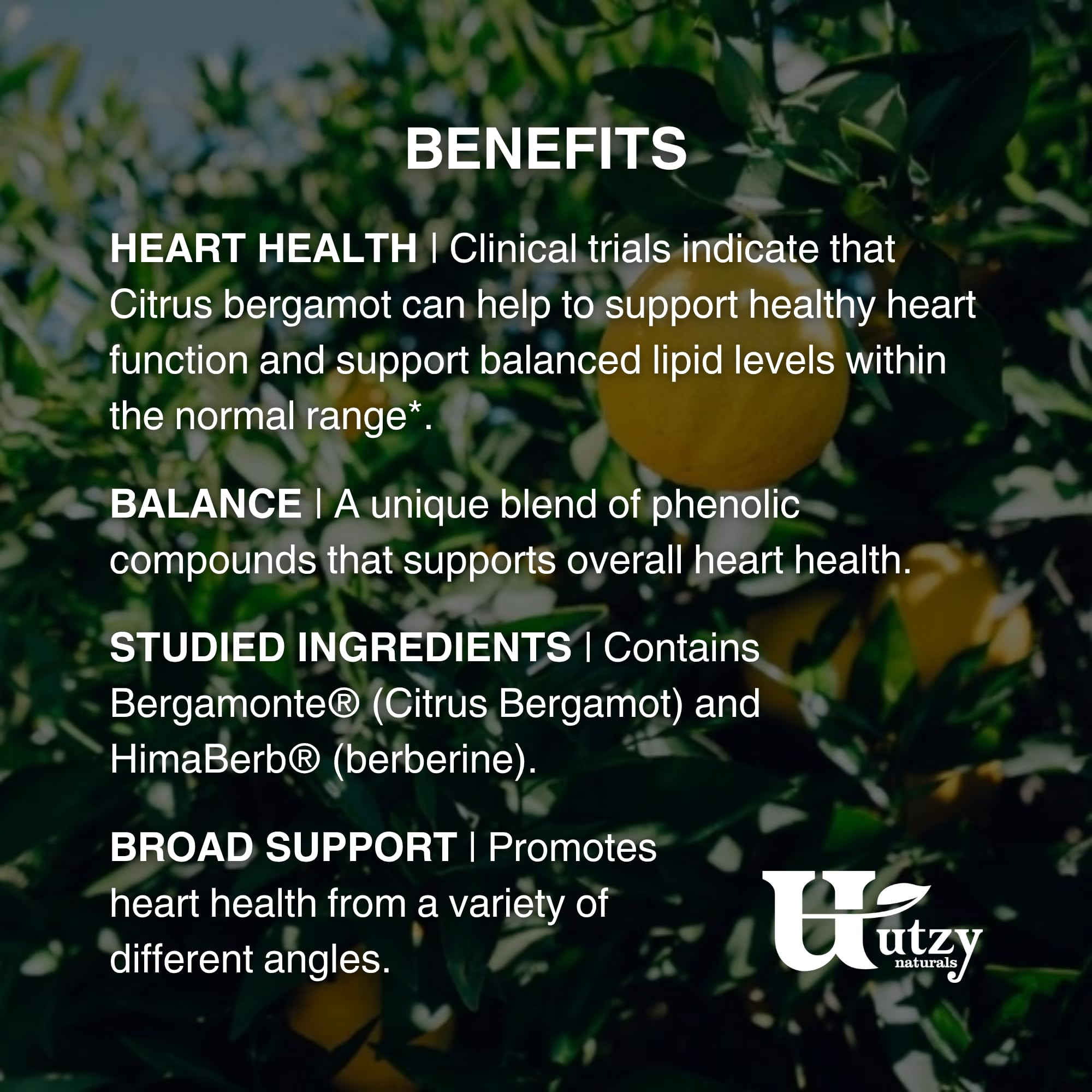 Berbercol capsules for healthy metabolism