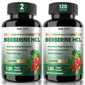 Berberine 1500 mg health benefits