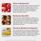 Berberine capsules for daily health