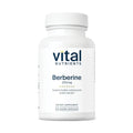 berberine capsules for digestive health