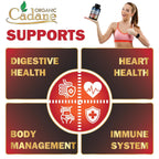 Berberine capsules for digestive support